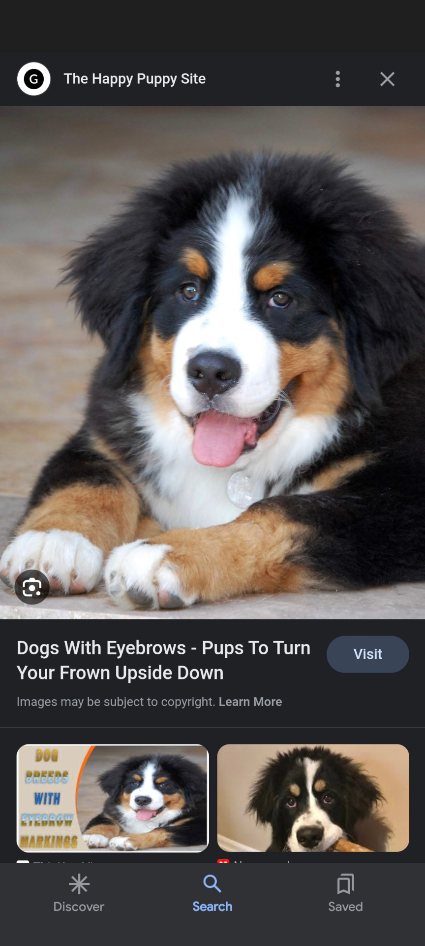 how do you draw these fur eyebrows/gen | HoYoLAB