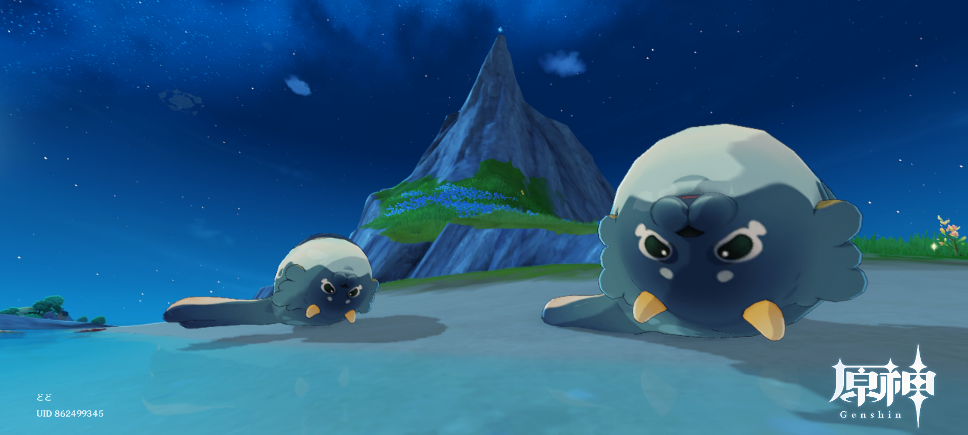 🦭 Genshin Impact | HoYoLAB