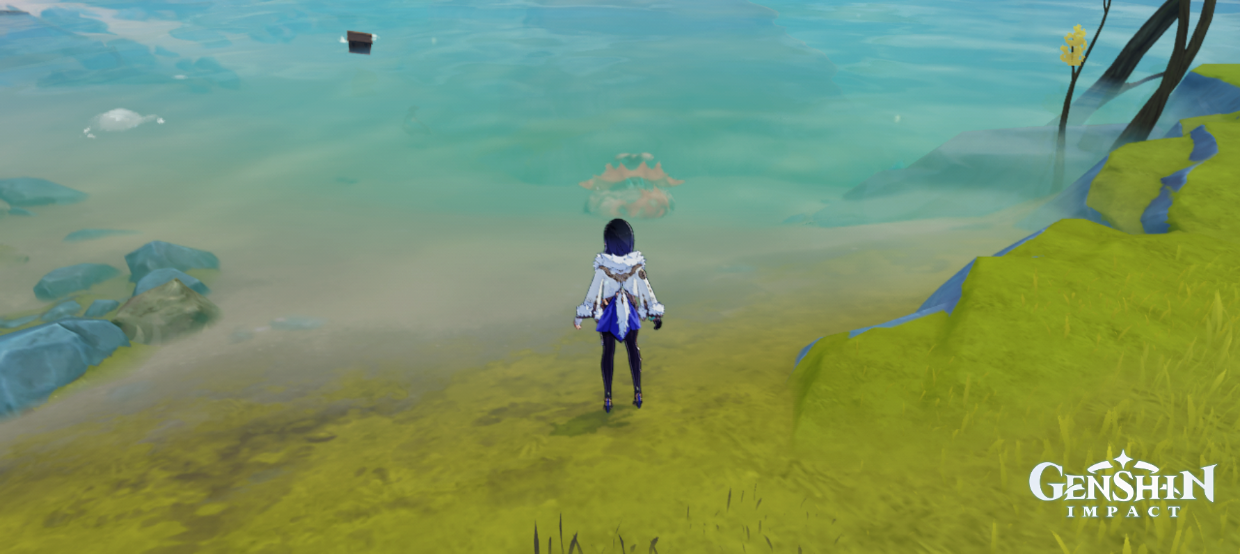 What to do when they Hide in water like this 😭😭 Genshin Impact | HoYoLAB