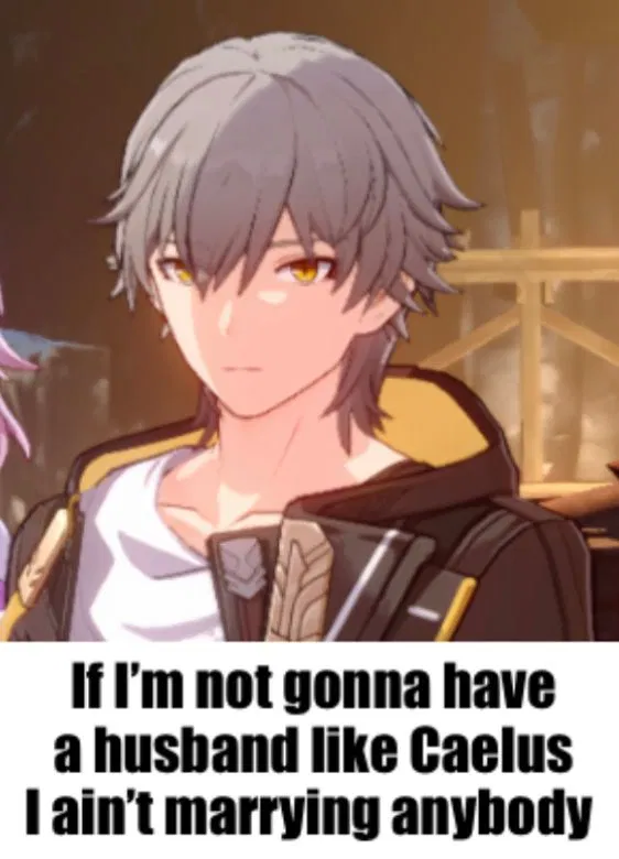 More dumb Caelus memes I made at 2am Honkai: Star Rail | HoYoLAB