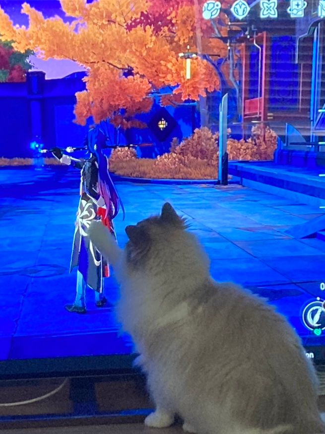 Honkai star rail blade🐱 Honkai: Star Rail | HoYoLAB
