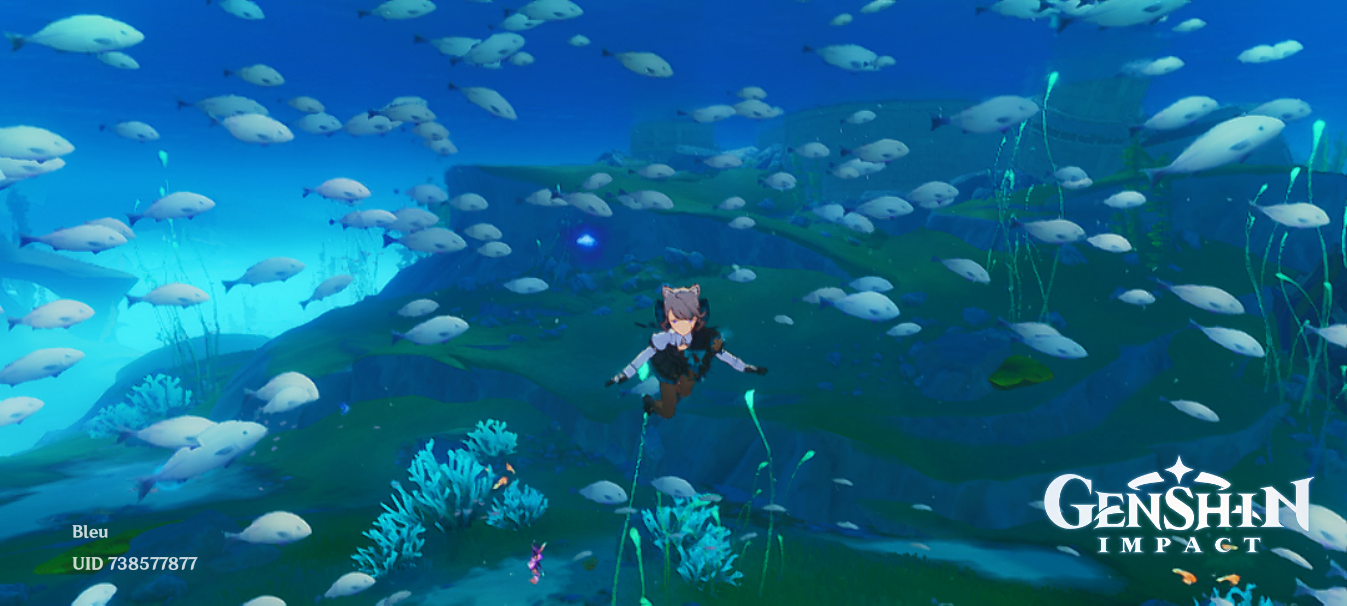 Swimming with the fishes Genshin Impact | HoYoLAB