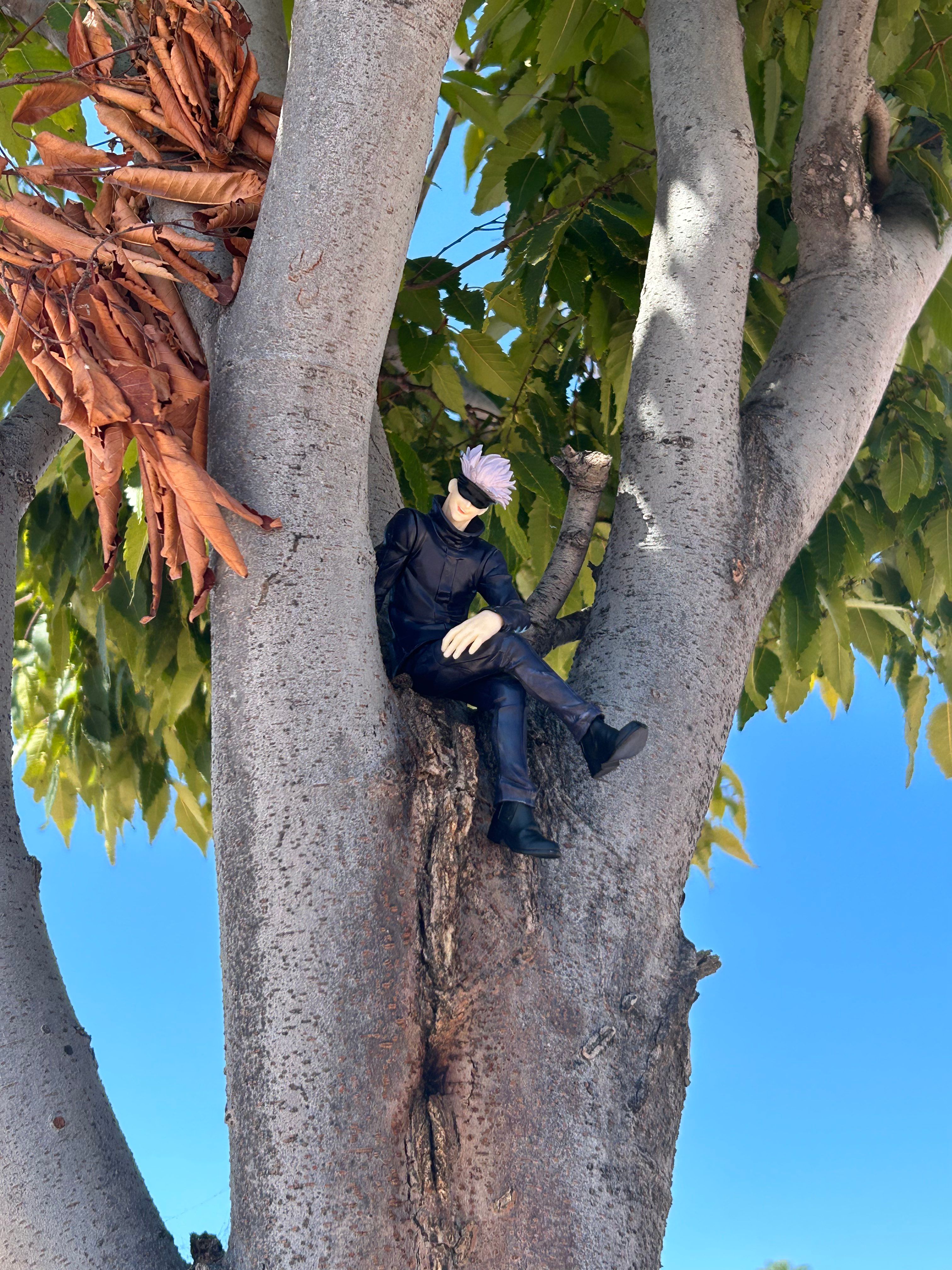 Who put Gojo in the Tree 😭😭 | HoYoLAB