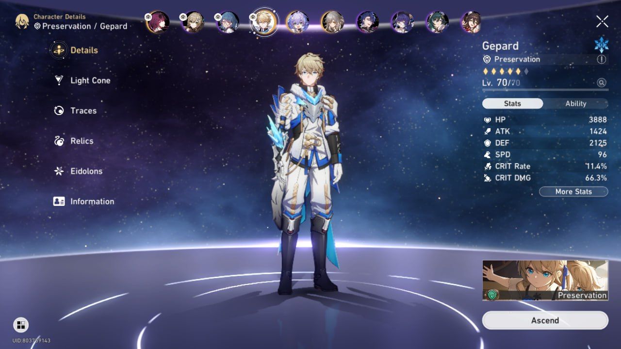 MY GEPARD BUILD (IS IT OKAY, OR IS IT LACKING) (ESP ON RELICS🥹) ANW IT ...