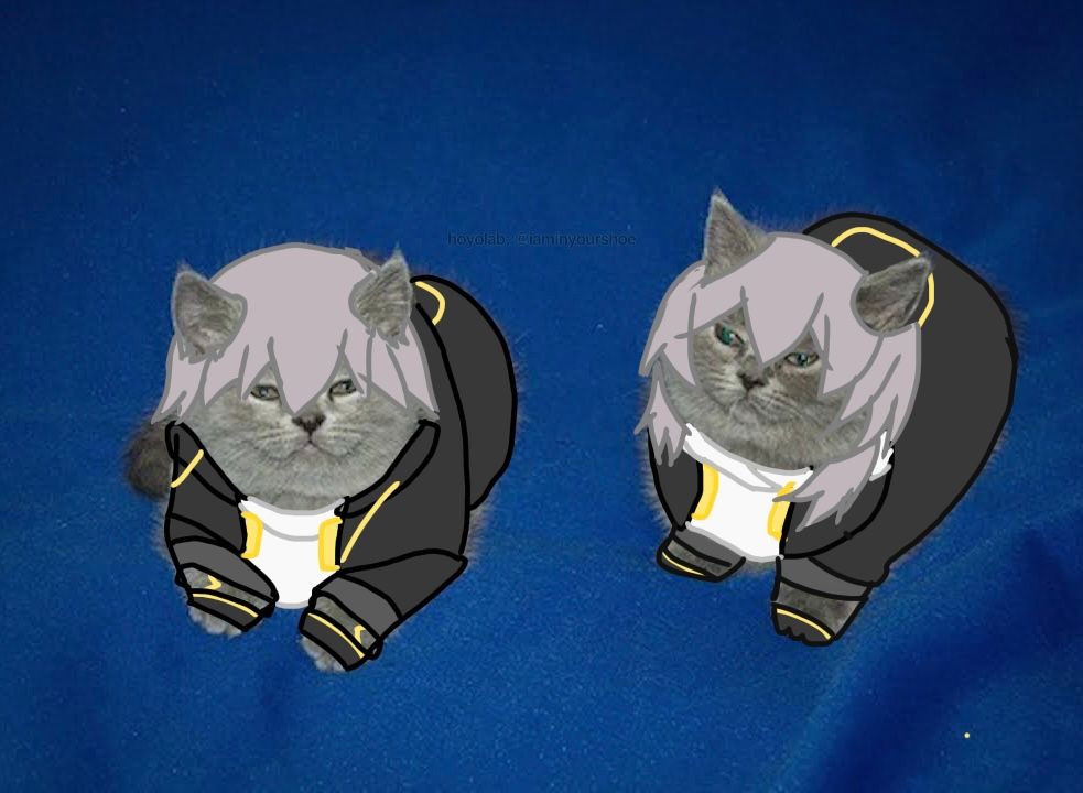 More dumb Caelus memes I made at 2 am part 4 Honkai: Star Rail | HoYoLAB