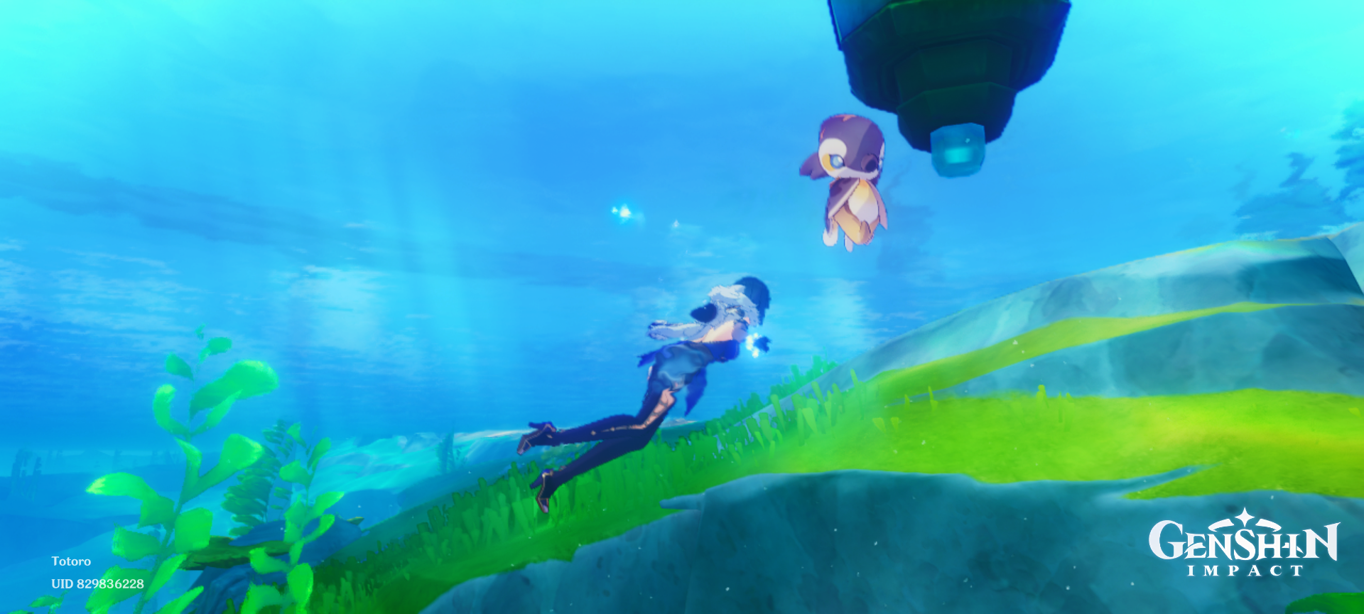 Small sea creatures Genshin Impact | HoYoLAB