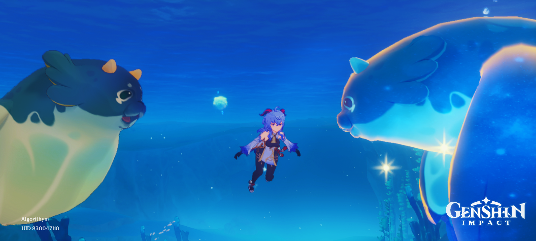 Dayum, The Seals are so Cute Genshin Impact | HoYoLAB