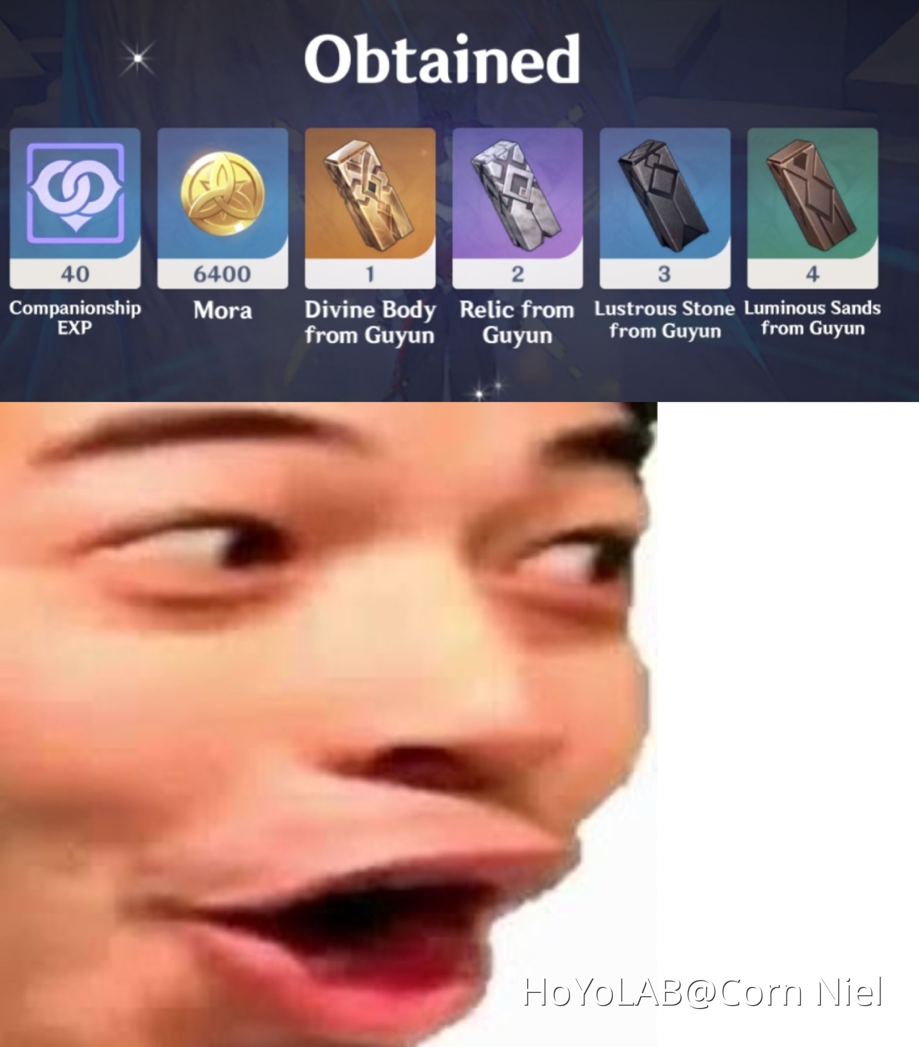 Pog champ Genshin Impact | HoYoLAB