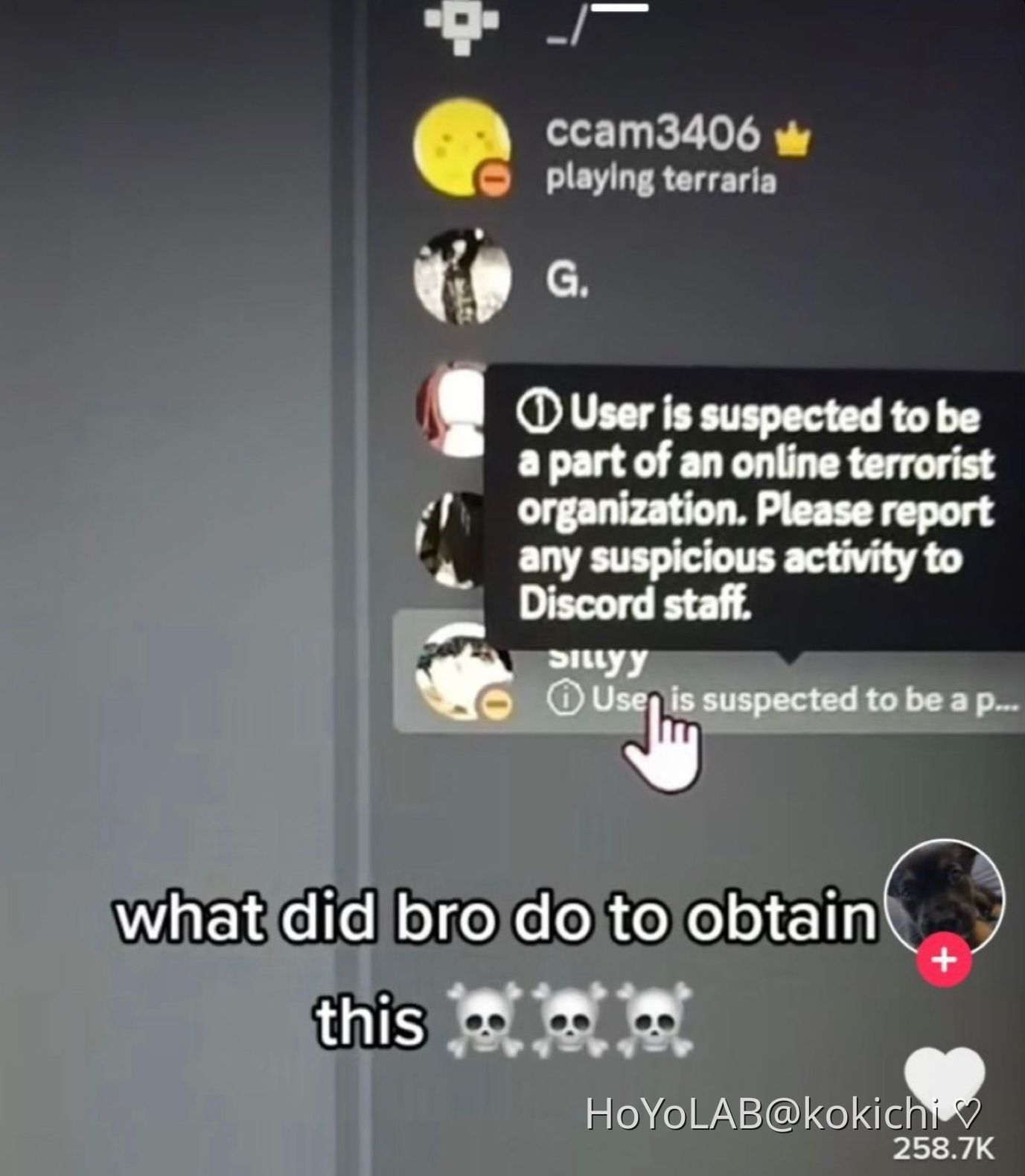 memes for absolutely no reason | HoYoLAB