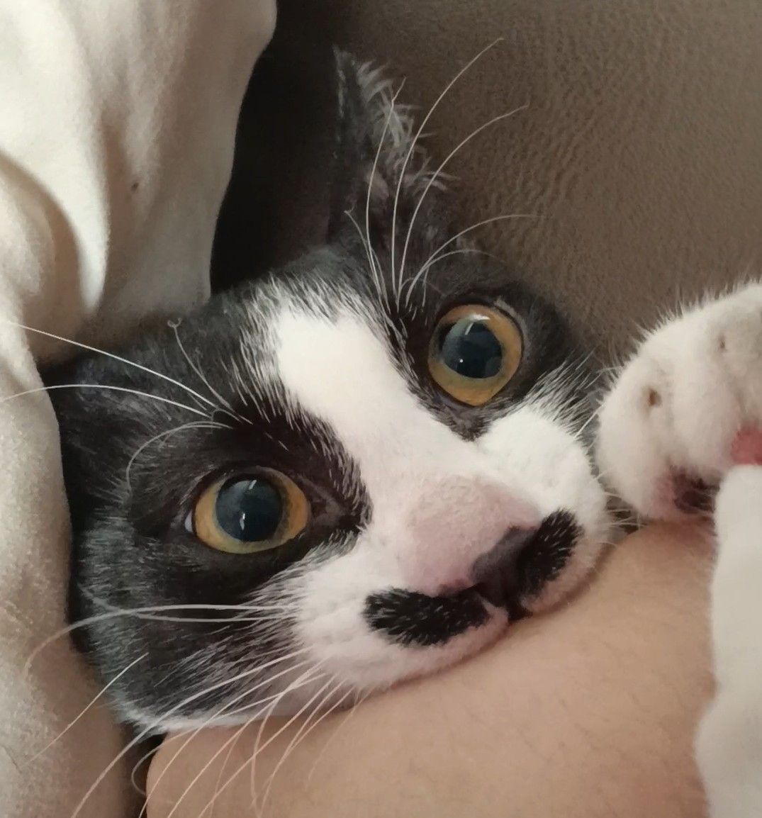 My cute adorable baby | HoYoLAB