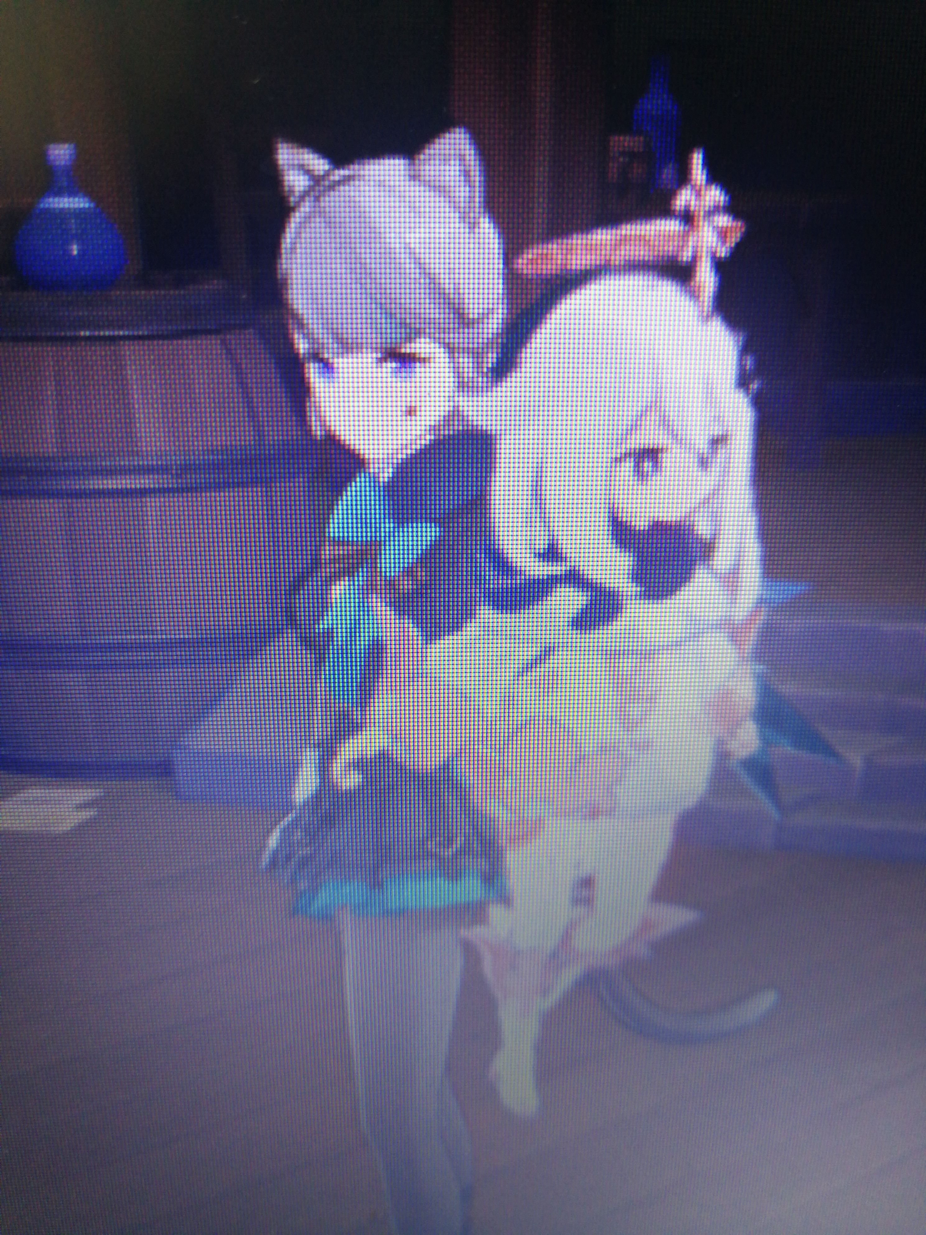 Paimon? Genshin Impact | HoYoLAB