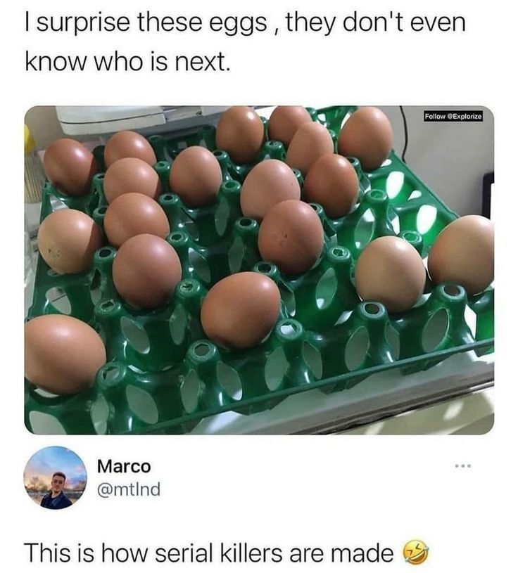 random memes | HoYoLAB