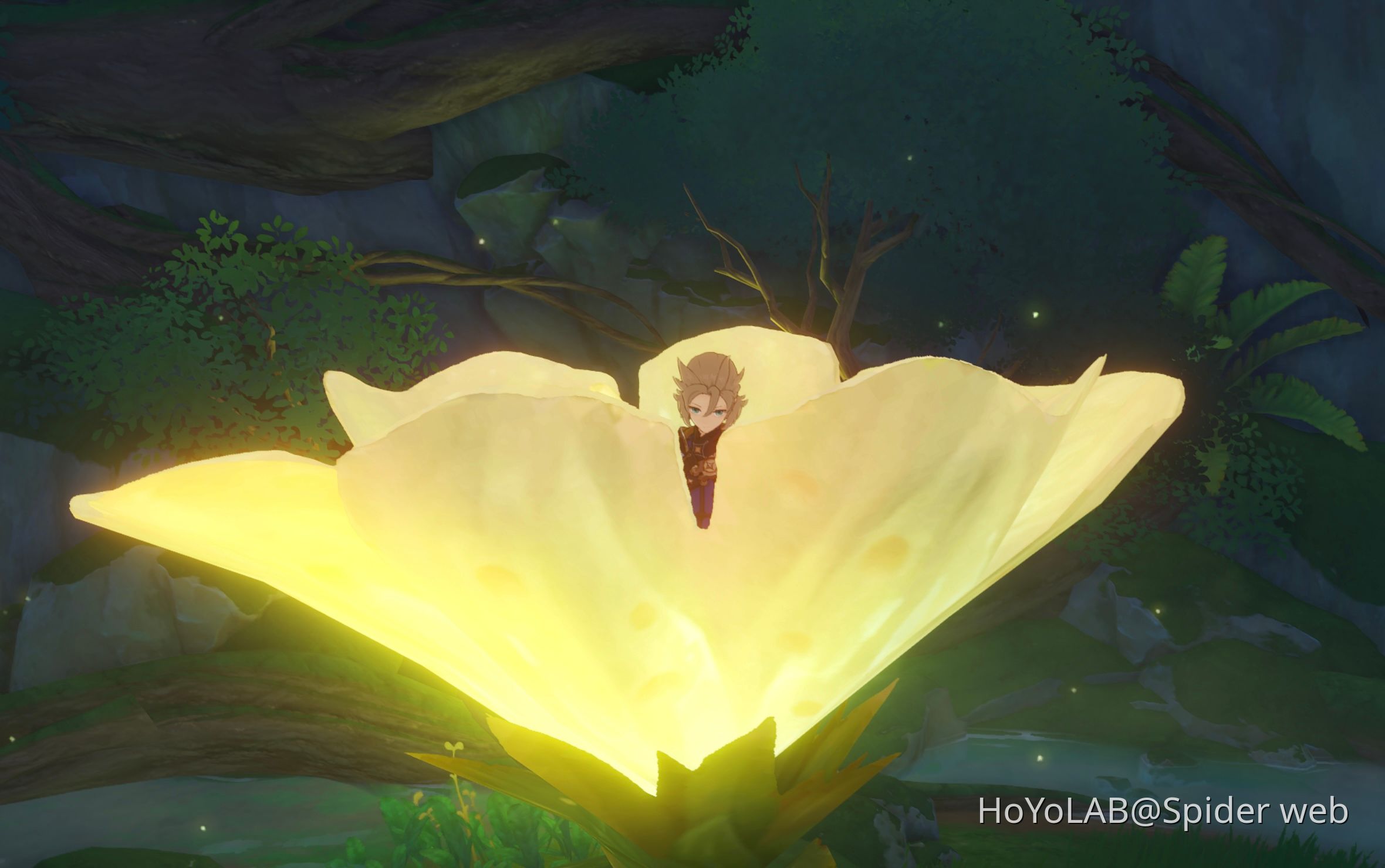 Flowerbedo Genshin Impact | HoYoLAB