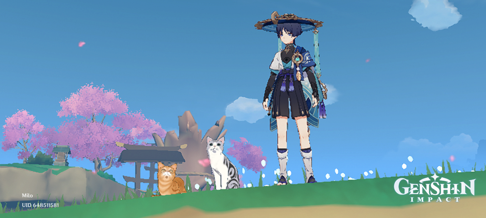 Inaxuma's kittys Genshin Impact | HoYoLAB
