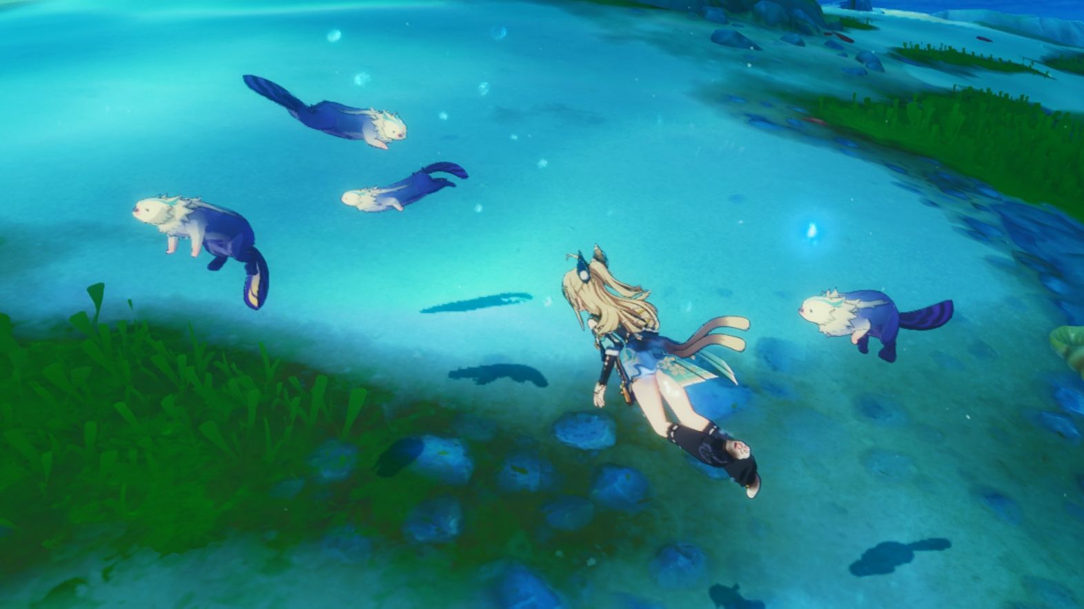 Swimming with the Leisurely Otters Genshin Impact | HoYoLAB