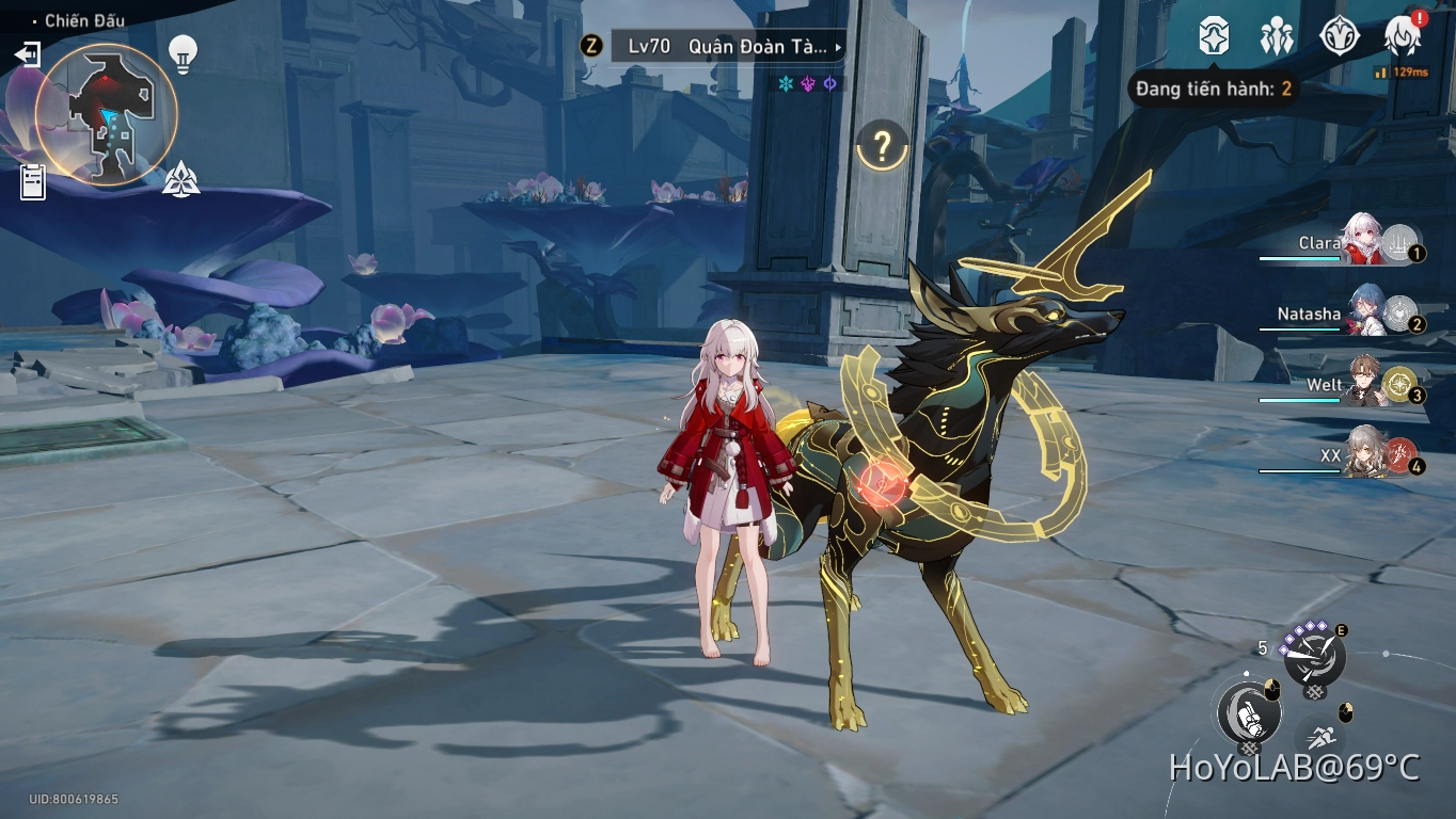 PET Honkai: Star Rail | HoYoLAB