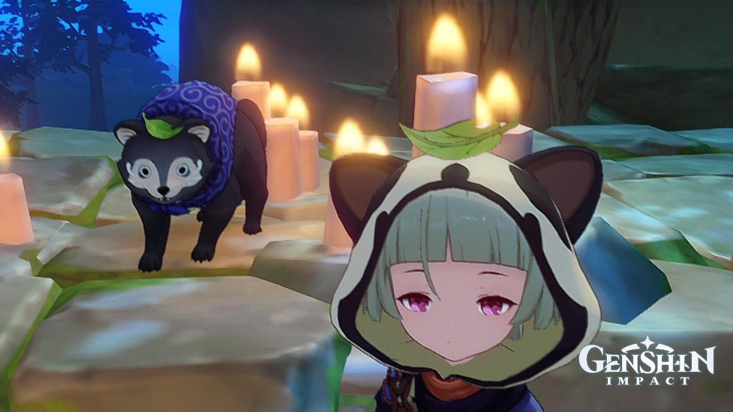 Tanuki Team Genshin Impact | HoYoLAB