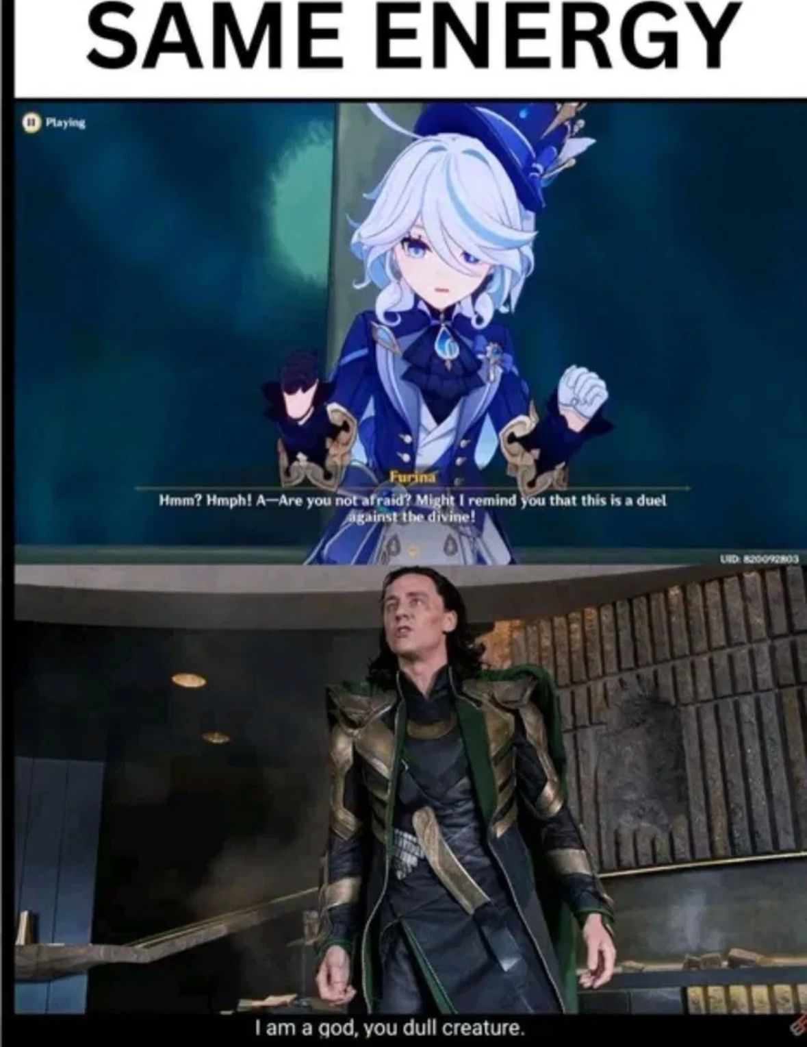 Fontaine memes caz freminet is adorable 🥰 Genshin Impact | HoYoLAB