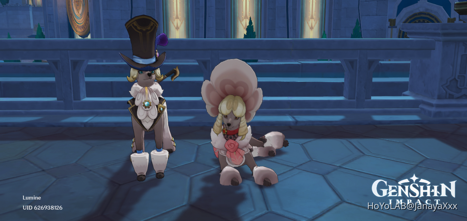 Fontaine's fabulous doggos! 🐕 😱 *I swear I had so many moments of sheer ...