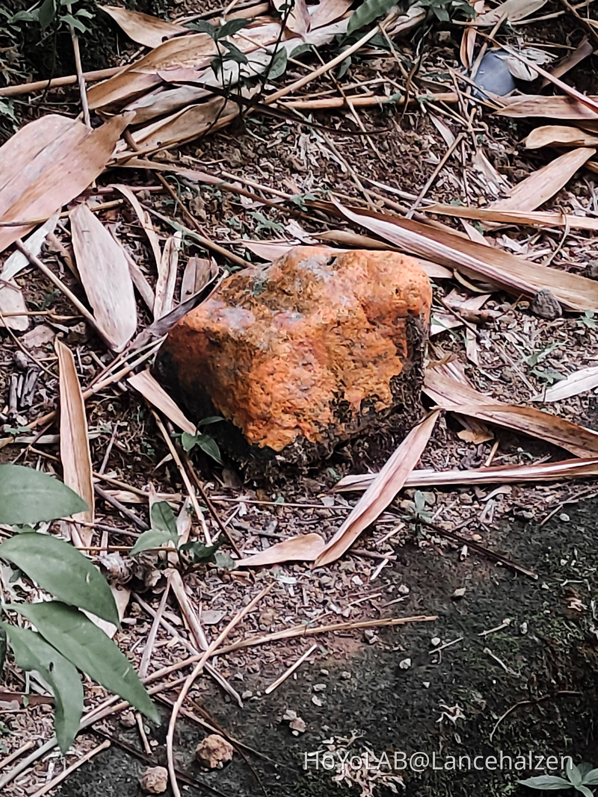 Cor Lapis IRL Genshin Impact | HoYoLAB