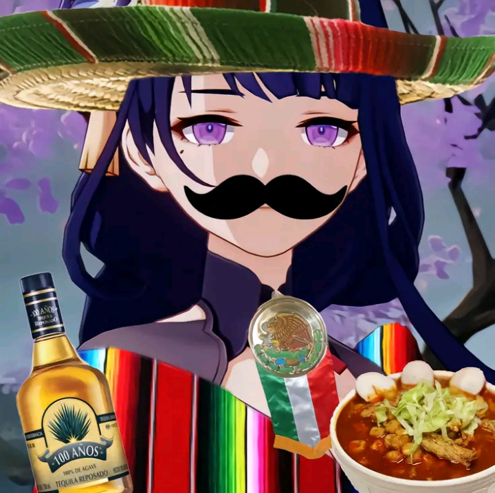 Mexican Raiden Shogun Genshin Impact | HoYoLAB