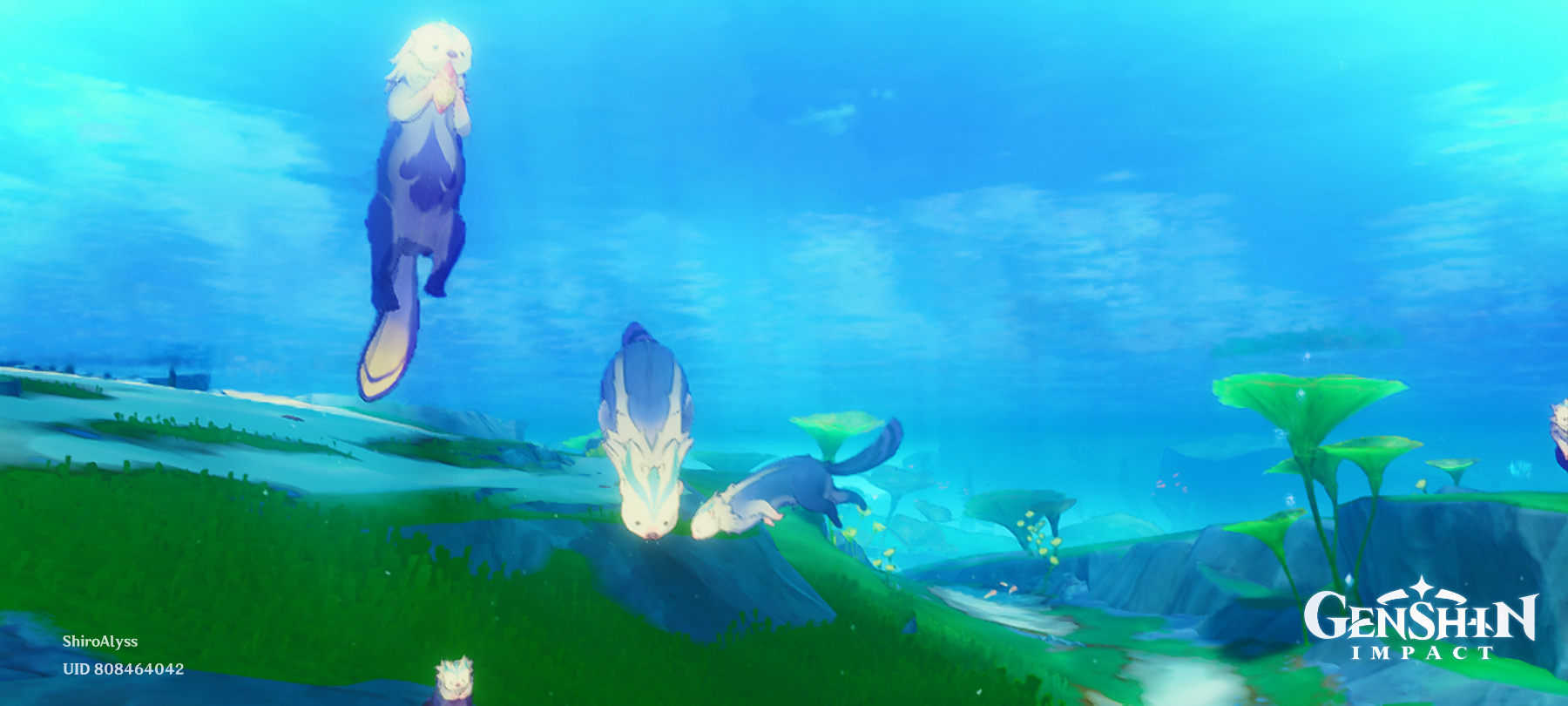 Neuvilette Genshin Impact | HoYoLAB