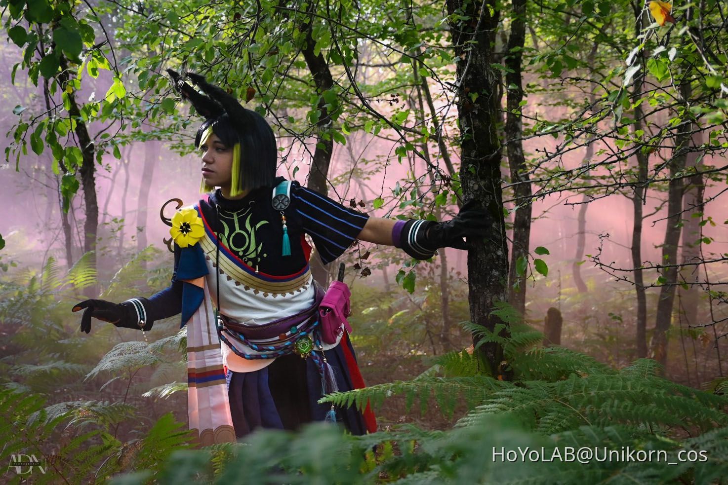 The withering area isn’t far Genshin Impact | HoYoLAB