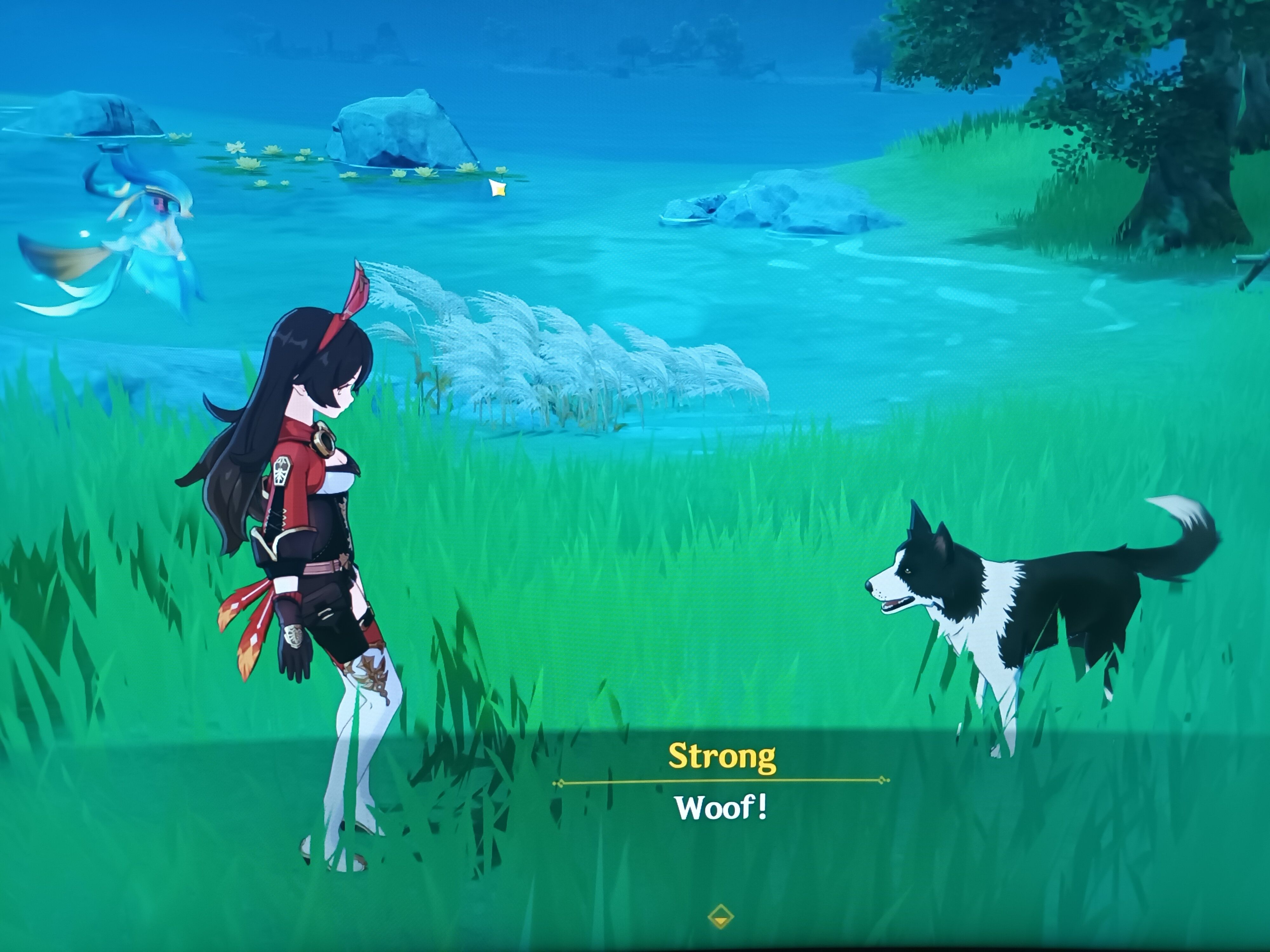 mfs really named dog "Strong" Genshin Impact | HoYoLAB