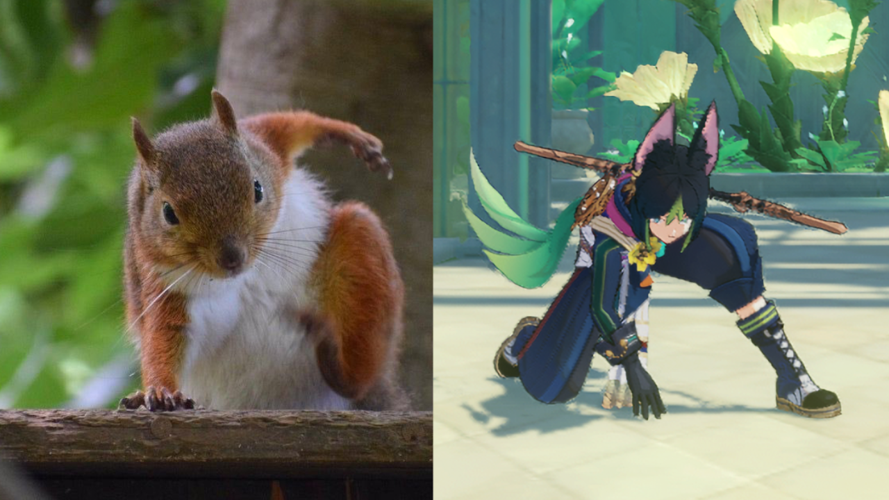 Tighnari's meme Genshin Impact | HoYoLAB