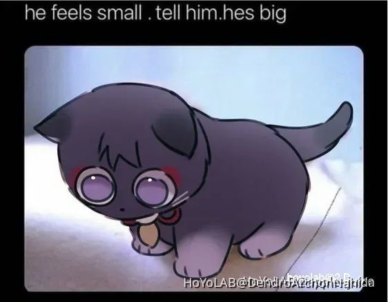 Scara cat Genshin Impact | HoYoLAB