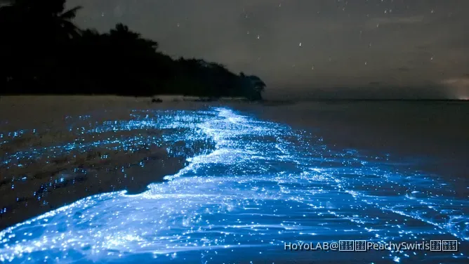What about the Bio-luminescent Algae in Teyvat's Waters? Genshin Impact ...