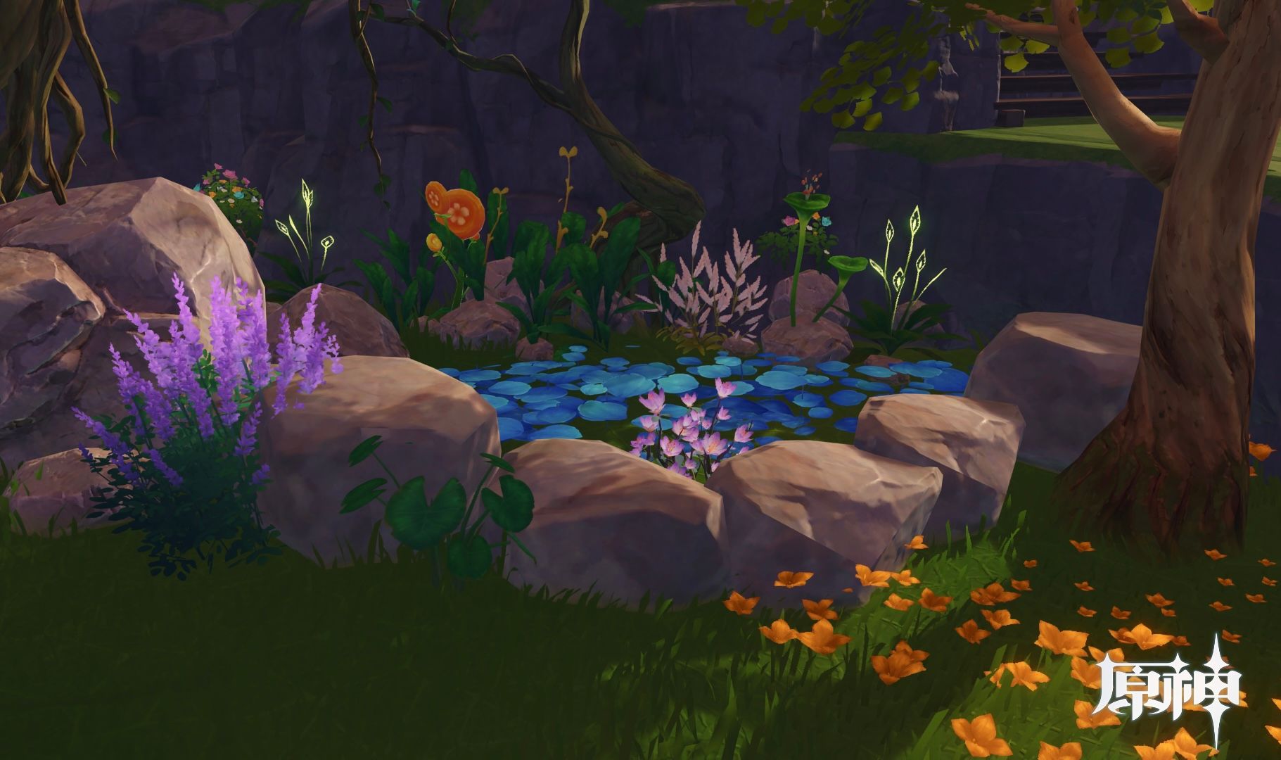 原宝快出摆设！！！ Genshin Impact | HoYoLAB