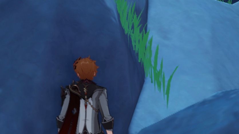 Grass. Genshin Impact | HoYoLAB