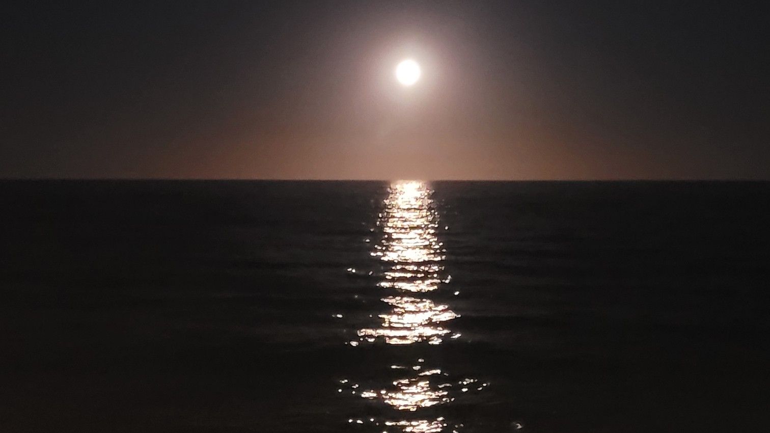 Yu-Peng Chen "Archon of Music" is leaving the Hoyoverse Project Genshin ...