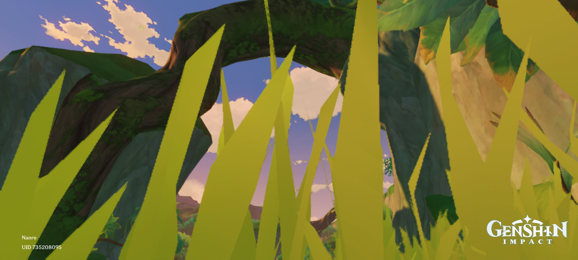 Grass Genshin Impact | HoYoLAB