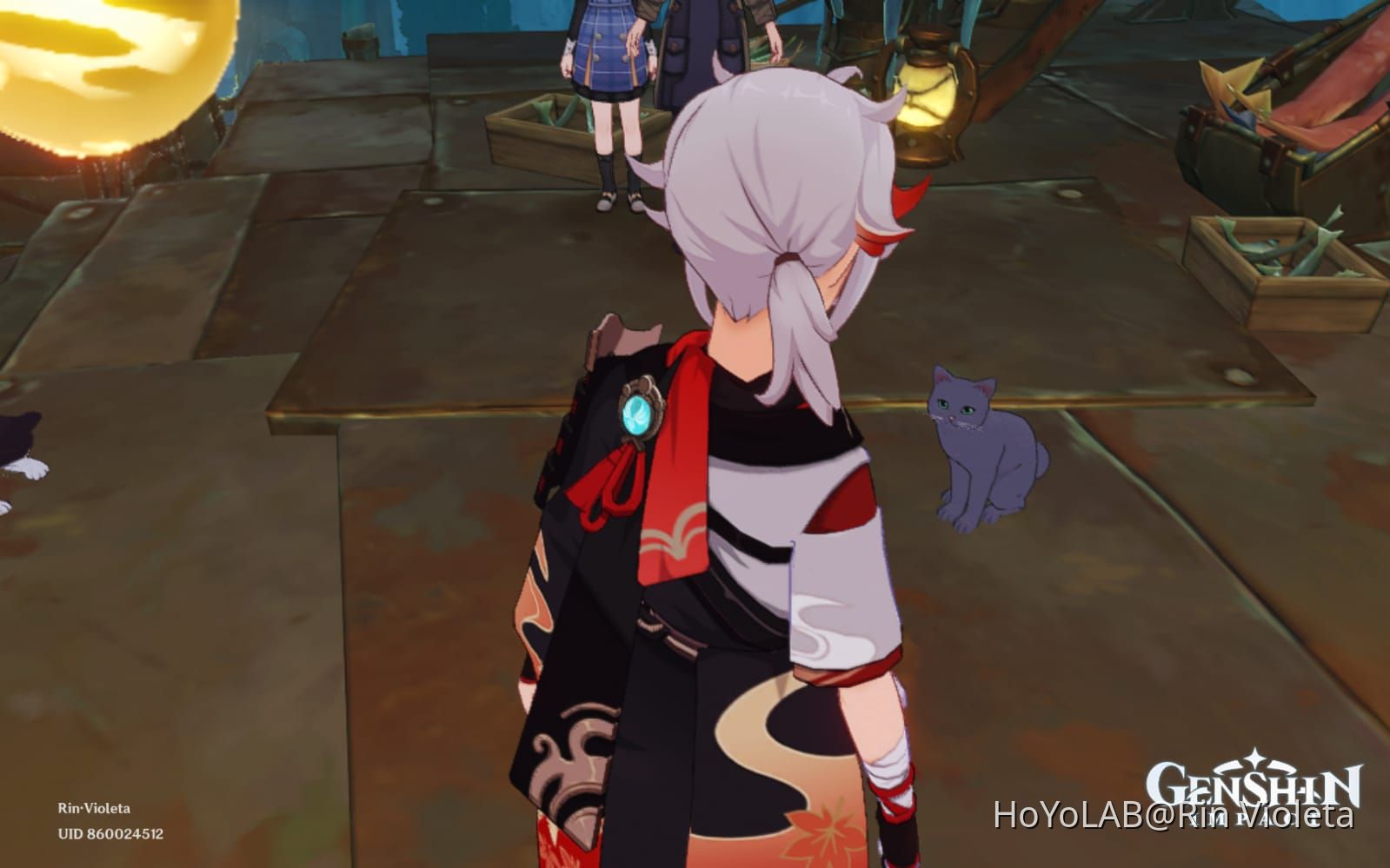 KAZUHA & CATS 🐈 Genshin Impact | HoYoLAB