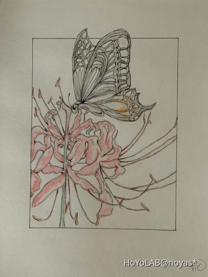 I tried to draw a red spider lily | HoYoLAB