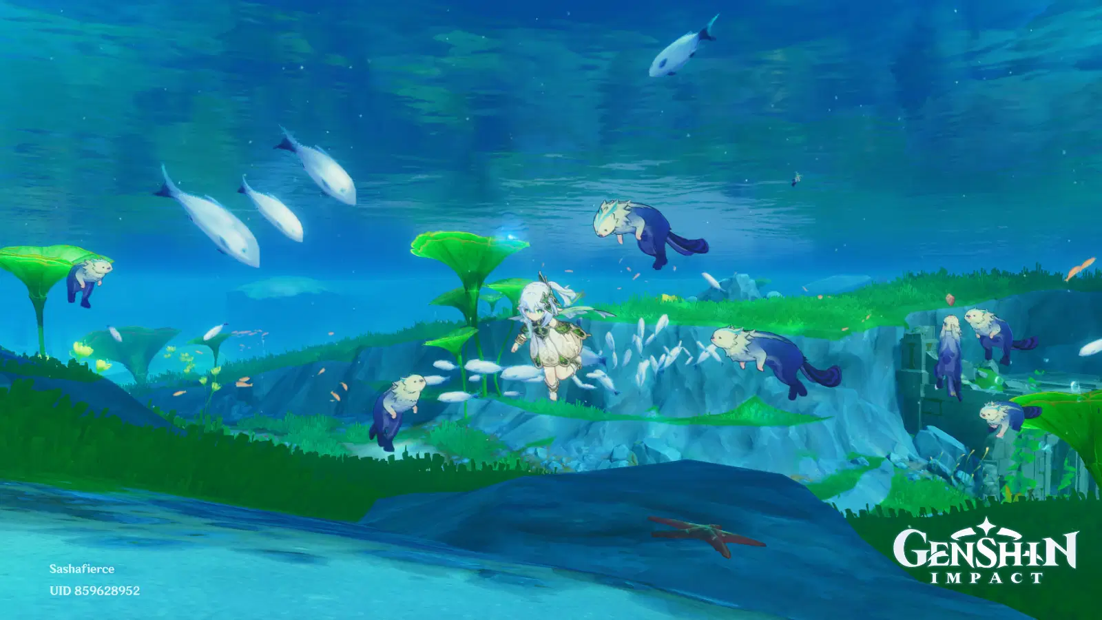 fontaine water otters are adorable Genshin Impact | HoYoLAB