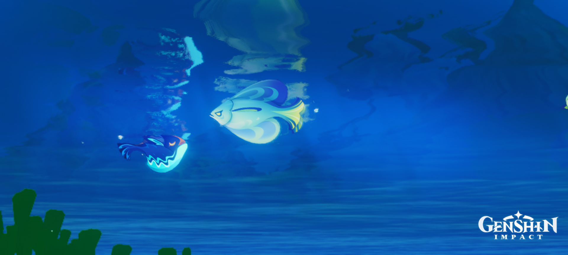 Here some Fontaine fish photos Genshin Impact | HoYoLAB