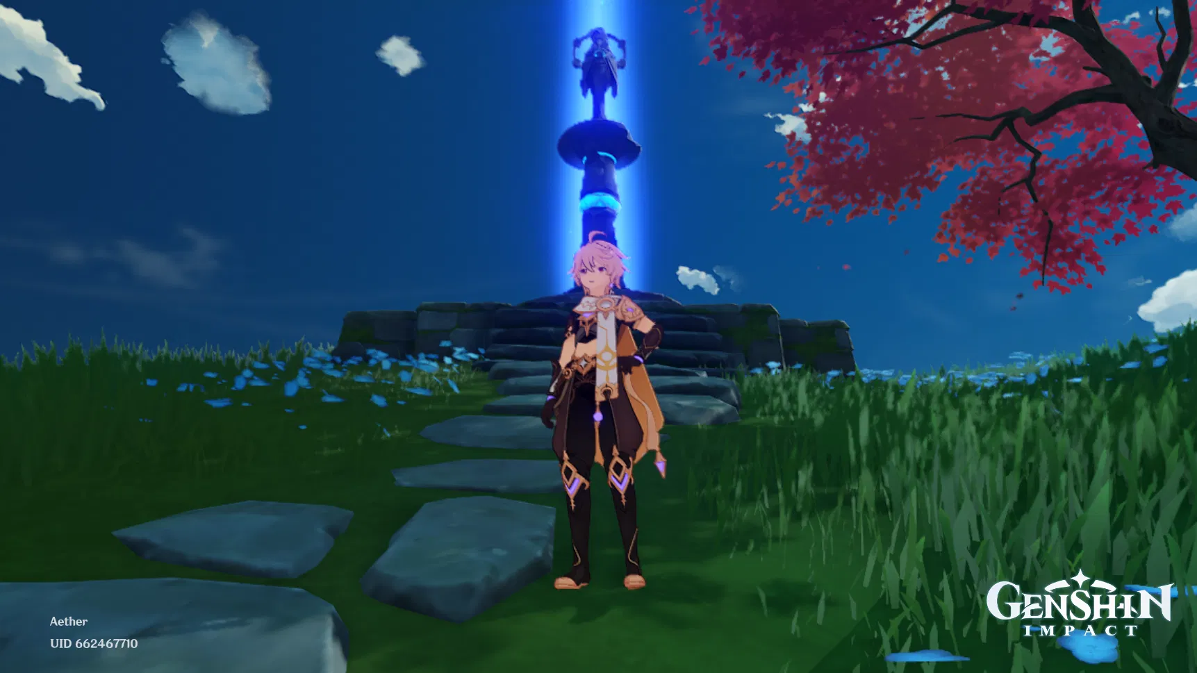 Aether sem magia elemental😨, e em inazuma Genshin Impact | HoYoLAB