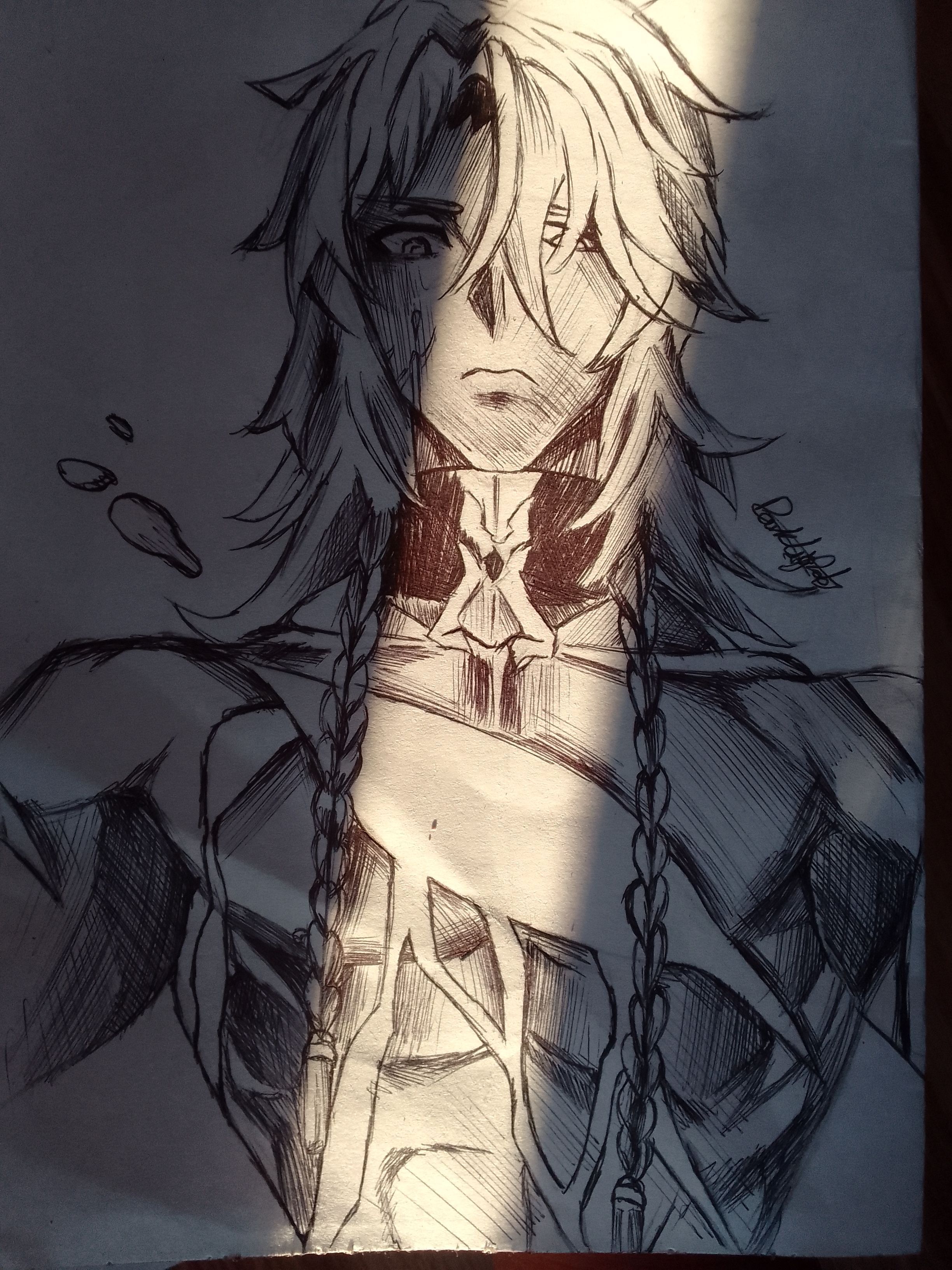 Nanook HSR Honkai: Star Rail | HoYoLAB