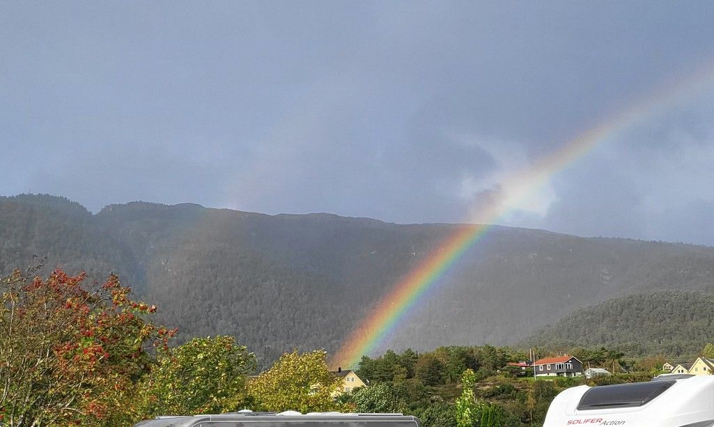 i saw a double rainbow 3 days ago🤯 | HoYoLAB
