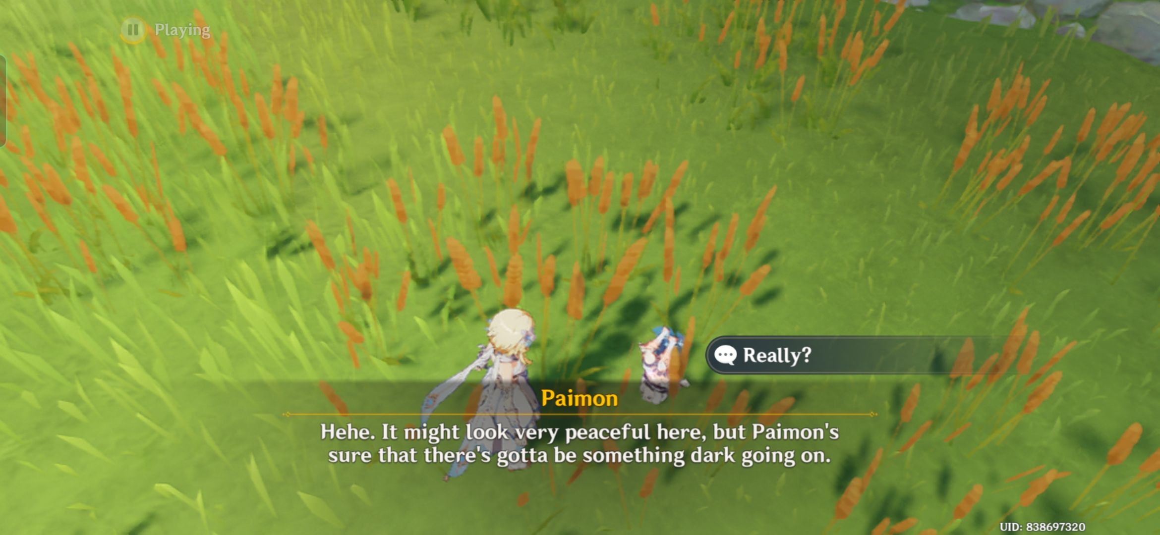 Paimon? Genshin Impact | HoYoLAB