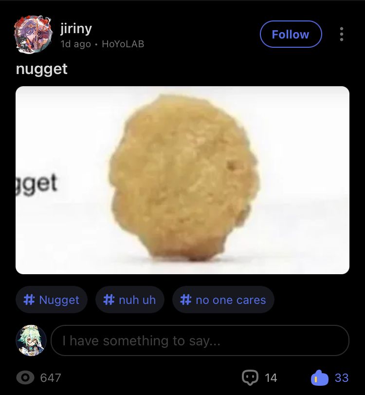 Nugget | HoYoLAB