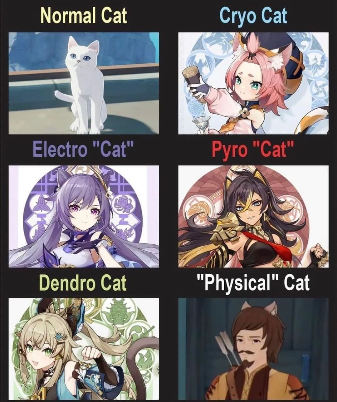 drip marketing kucing genshin Genshin Impact | HoYoLAB