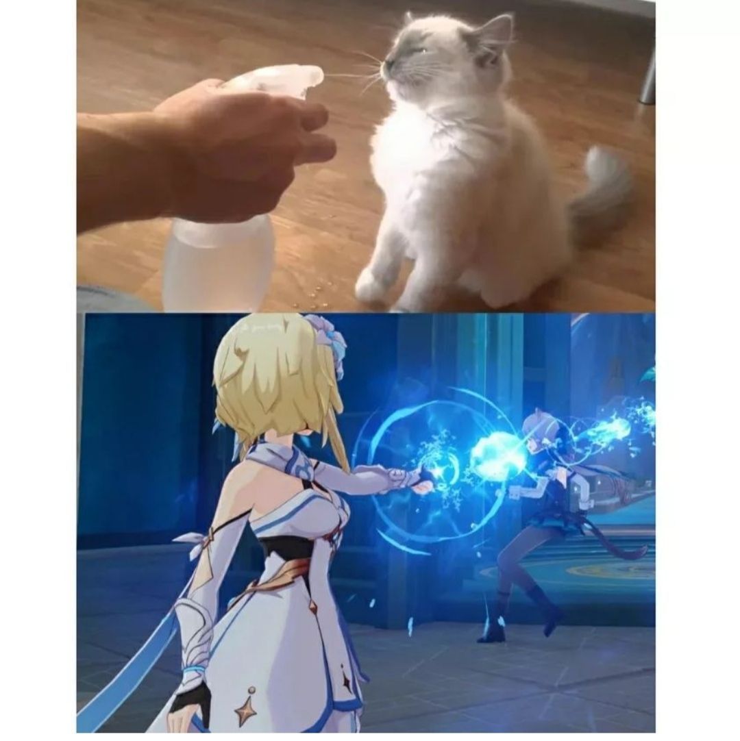 memes Genshin Impact | HoYoLAB
