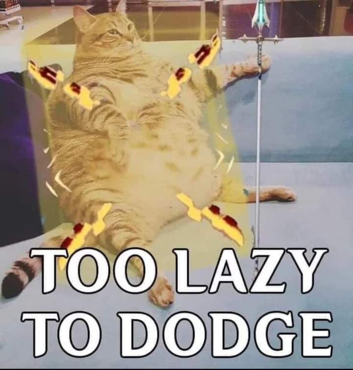 noc meme Genshin Impact | HoYoLAB