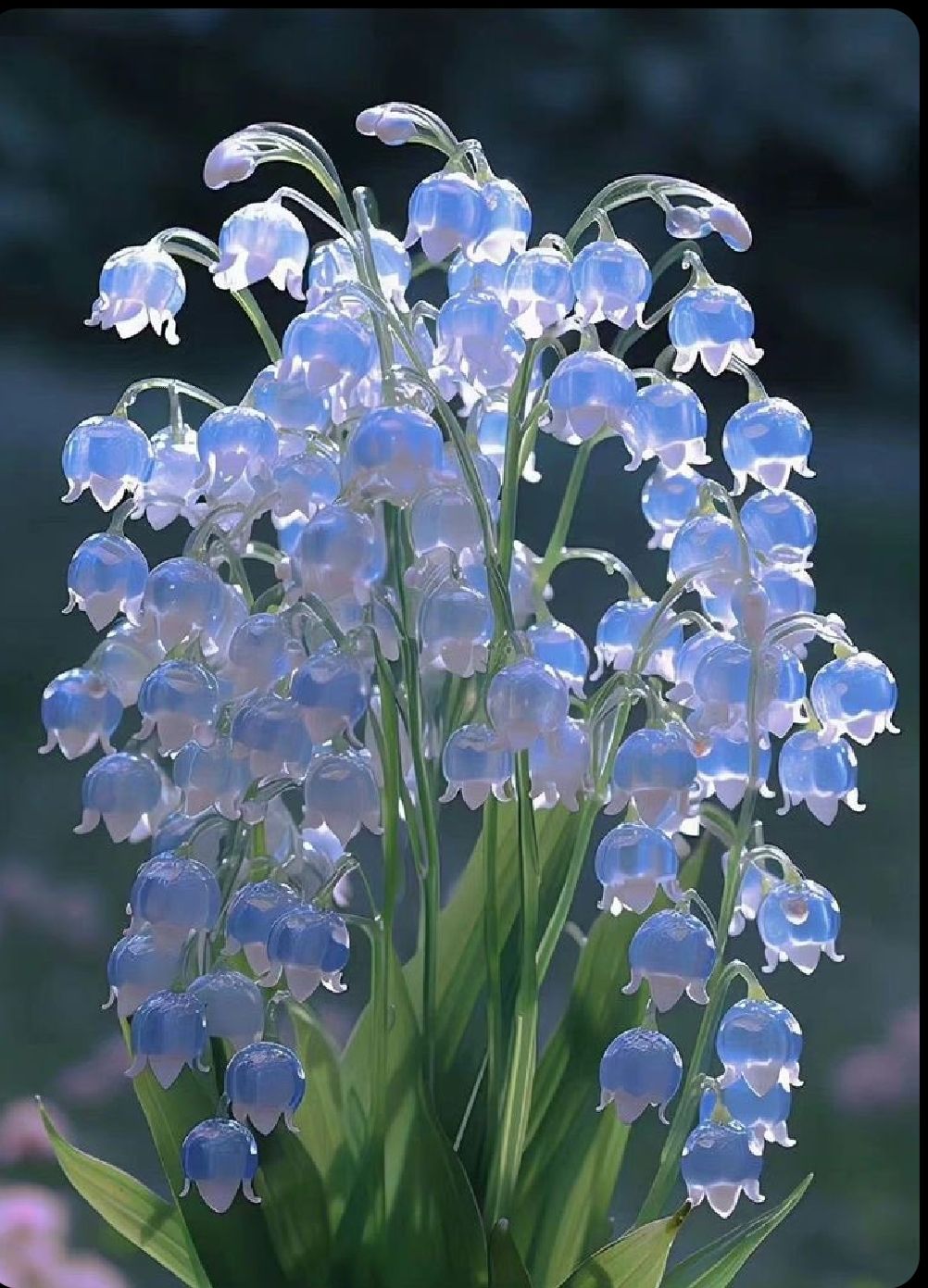 Real life lumidouce bell... Pretty! Genshin Impact | HoYoLAB