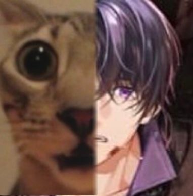 marius’s expression was hilarious so I made something pretty silly ...