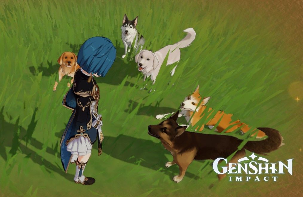 My doggos 🐶 Genshin Impact | HoYoLAB